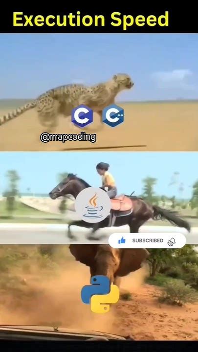 📈 Execution Speed Of Programming Language Shorts Coding Memes