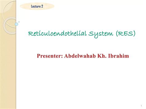 Reticuloendothelial System Pdf Biological Sciences Science
