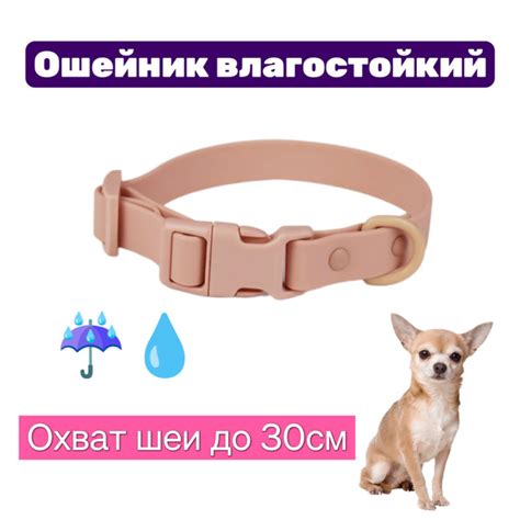 Ошейник водостойкий биотановый для собак мелких пород пыльная роза, до ...