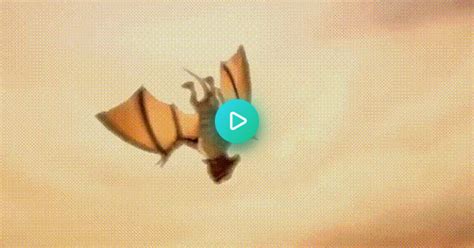You Have To See This  On Imgur