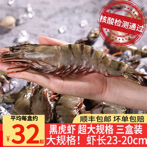 黑虎虾新鲜大虾鲜活超大速冻海虾特大虎虾九节虾冻虾斑节虾老虎虾虎窝淘