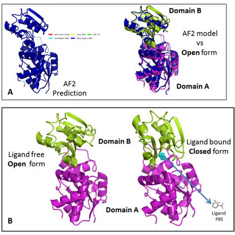 Ligand Binding At Domain Interfaces A Alphafold2 Predicted Model