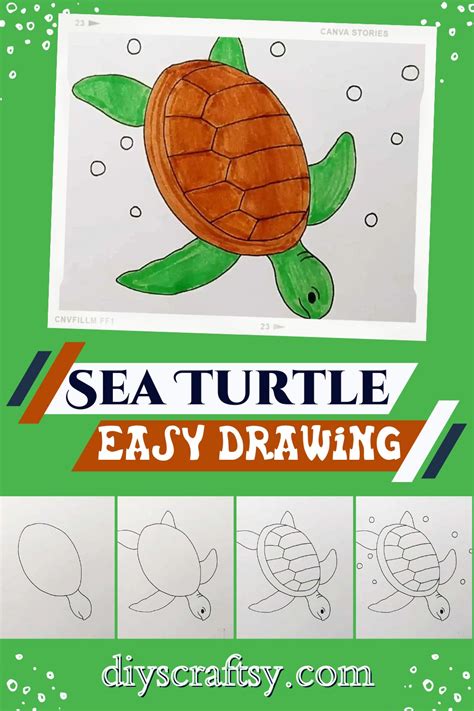 Turtle Drawing Ideas How To Draw Turtle DIYsCraftsy