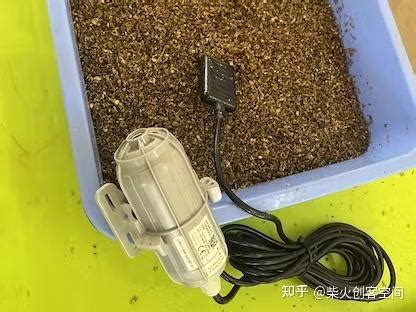 物联网 黑水虻养殖小虫大用变废为宝 知乎