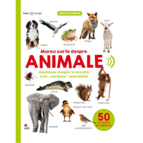 Manuale Si Auxiliare Scolare Art Klett Căutarea Nu Se Oprește