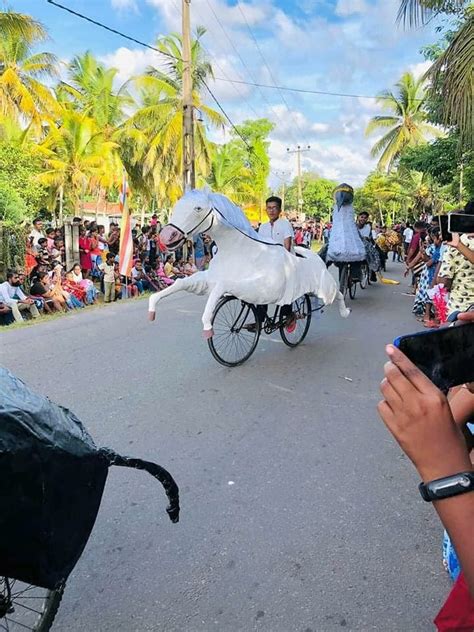 ඒකනම් වෙනම ලෝකයක් වගේ ලංකාවේ වෙනස් විදිහට කරපු හීනටියන සත්තු පෙරහැර