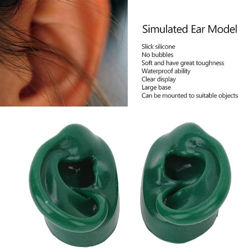 Simulated Pair Human Ear Model For Acupuncture Display Soft Slick