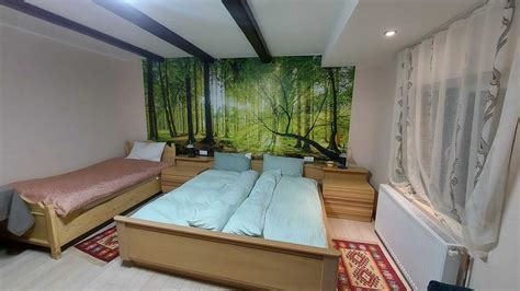 Cabana Ciupercuta Blidari Maramurescabana Cu Ciubar Blidari • Olxro