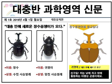 과학영역 게시자료 달팽이 사슴벌레 장수풍뎅이 거북이 네이버 블로그 과학영역 유치원 활동 과학 활동