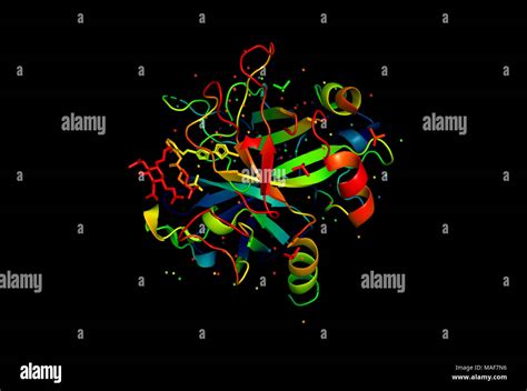 3d Model Of A Protein Molecule The Spatial Oriented Structure Of The