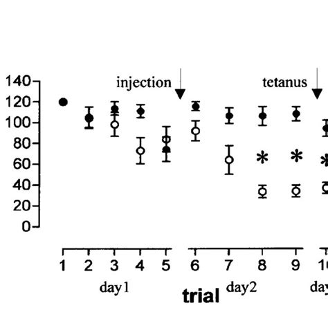 Reinforcement Of Ltp Decreased Latencies And The Formation Of A