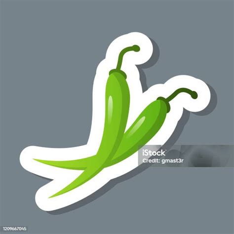 신선한 녹색 칠리 고추 스티커 맛있는 야채 아이콘 건강한 음식 개념 개념에 대한 스톡 벡터 아트 및 기타 이미지 개념