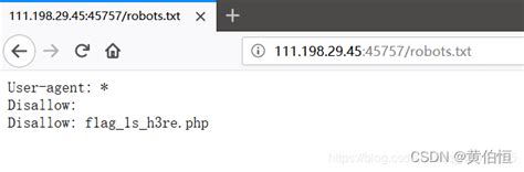 Ctf Web的一些基础玩法ctf Web 前端修改 Csdn博客