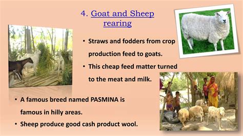 Integrated Farming System In Hilly Region Pptx