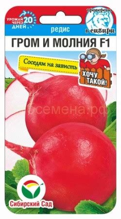 РЕДИС — Семена для Сибири