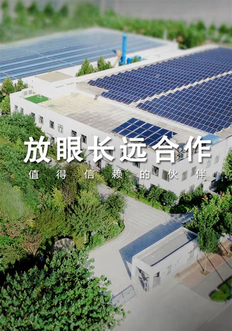 山东伟基炭科技有限公司 官网