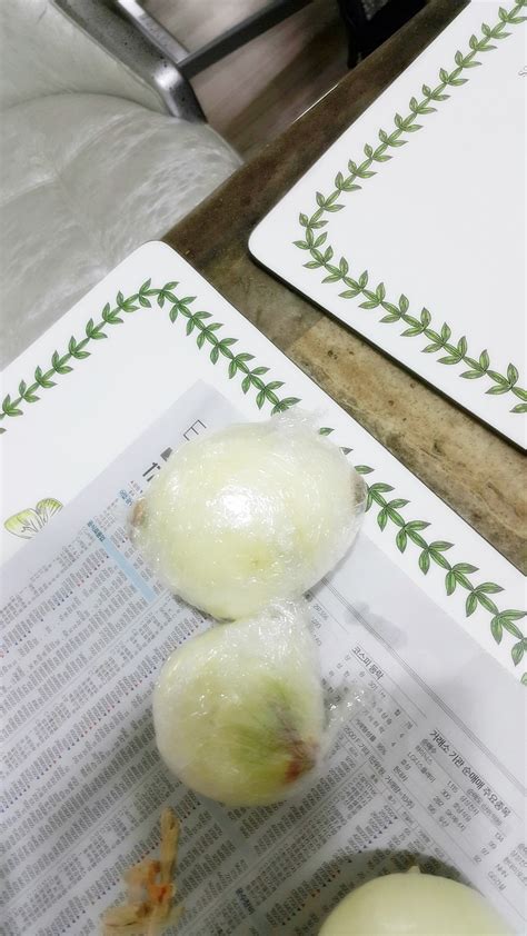 Made By 얌얌 양파오래보관하는방법 준비물도초간단