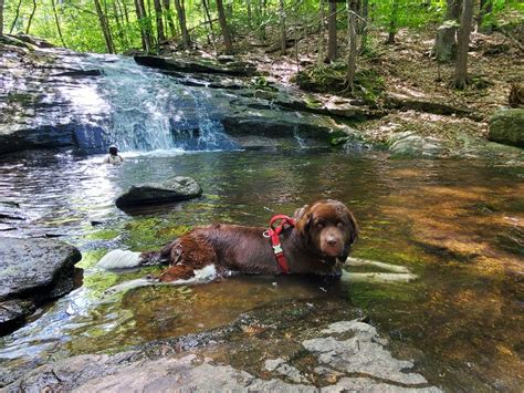 Wildlife And Wilderness Top 24 Hikes To Explore In Cummington