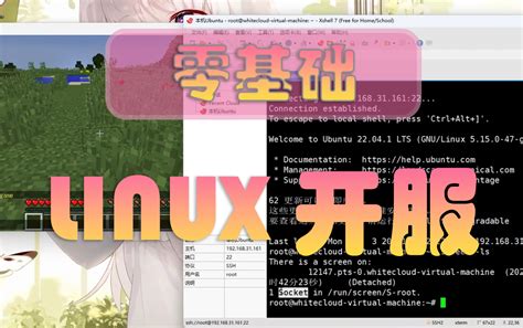 我的世界Linux服务器开服教程 低占用 简单方便 从零开始 本机 云服务器 松香Rosin 服务器 哔哩哔哩视频