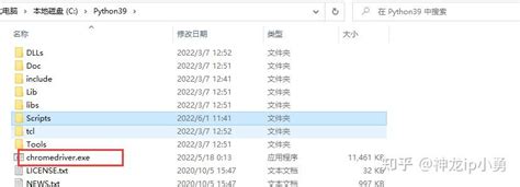 当使用selenium Webdriver 加载页面时出现浏览器闪退时，如何解决？ 知乎