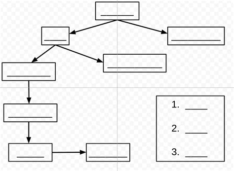 Number Classification Diagram Quizlet