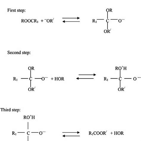 The Transesterification Reactions Of Triglyceride Oil With Alcohol To