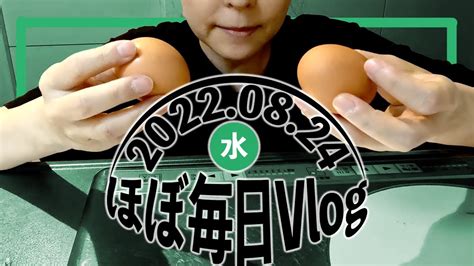 【ほぼ毎日vlog】20220824 Youtube