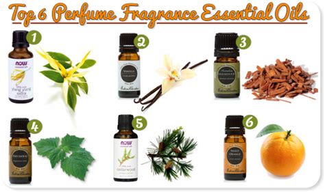 My Top 6 Perfume Fragrance Essential Oils Black Hair Information