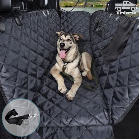 Cu L Es La Mejor Funda Para Asiento De Perro