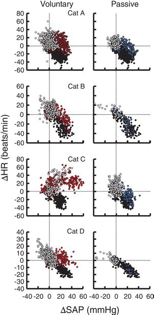 Relationship Between Systolic Arterial Blood Pressure Sap And Heart