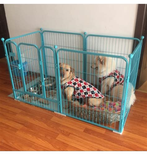야외 개집 실외 대형 강아지집 애견 하우스 견사 고양이집 티몬