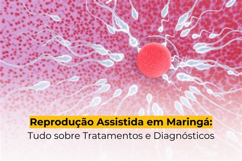 Reprodução Assistida Em Maringá Tudo Sobre Tratamentos E Diagnósticos
