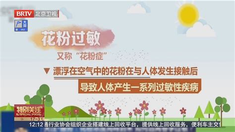 北京：花粉浓度超过每千平方毫米300粒北京时间
