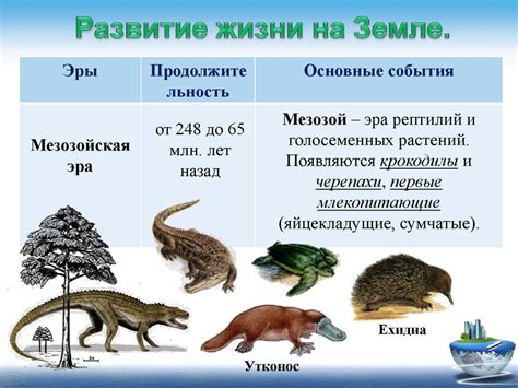 Этапы развития жизни на Земле презентация онлайн