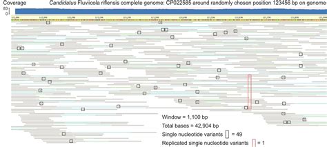 Accurate And Complete Genomes From Metagenomes
