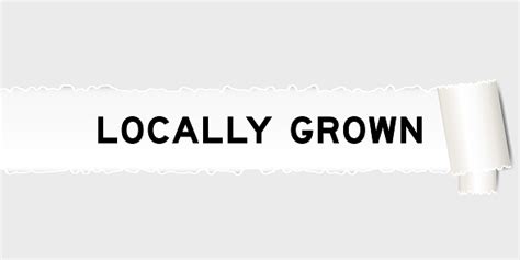 찢어진 부분 아래에서 현지에서 자란 단어가 있는 찢어진 회색 종이 배경 고객에 대한 스톡 벡터 아트 및 기타 이미지 고객 과일 광고 Istock