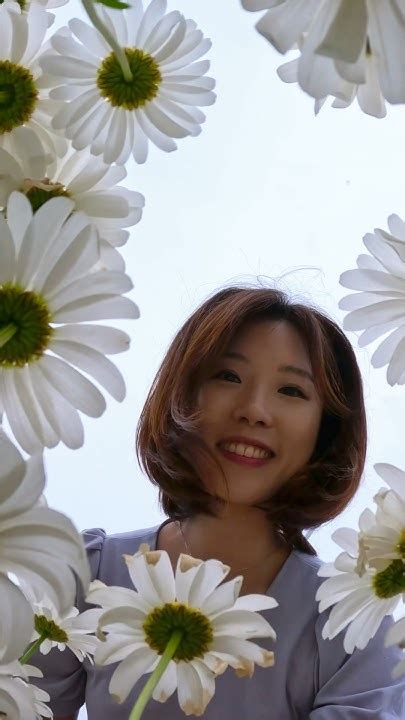 6월에 가야할 데이지꽃 명소🌼 Youtube