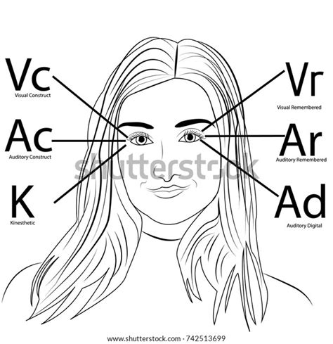 Nlp Neuro Linguistic Programming Lie Detection Stock Vector Royalty Free 742513699 Shutterstock
