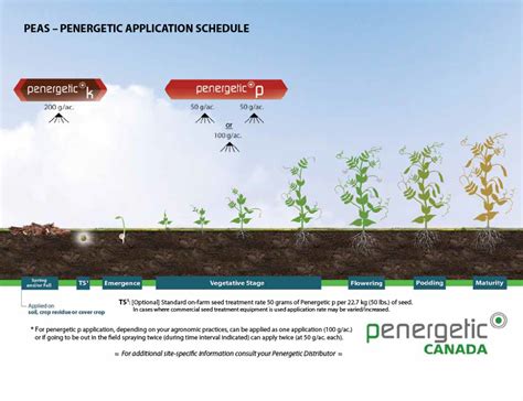Penergetic K And P Application Rates Penergetic Canada