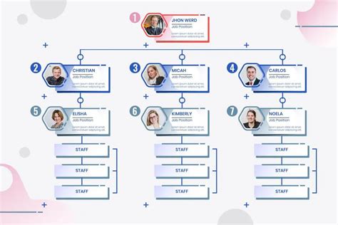 조직 구조의 7가지 주요 유형 2024 공개