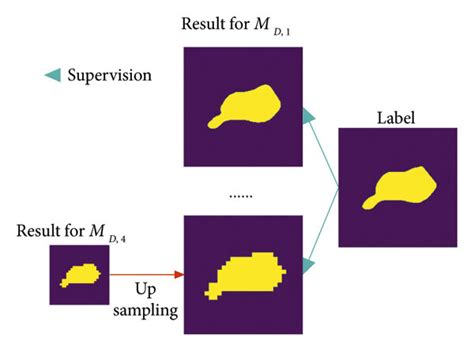 The Deep Supervision And Multilabel Deep Supervision Of The Md 1 And Download Scientific