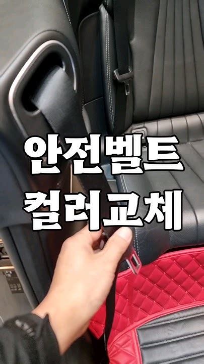 컬러 안전벨트 교체 안전벨트교체 컬러안전벨트 디테일러명 Youtube