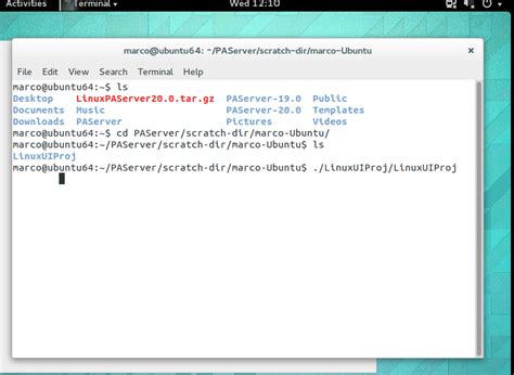First Steps With Fmxlinux Delphi Praxis
