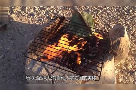 把仙人掌“当菜吃”的国家，一日三餐每顿都不少，还真能下得去口真能的国家仙人掌