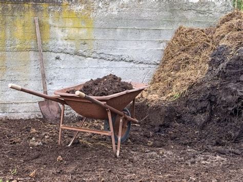 Manure In Compost Turning Sht Into Black Gold