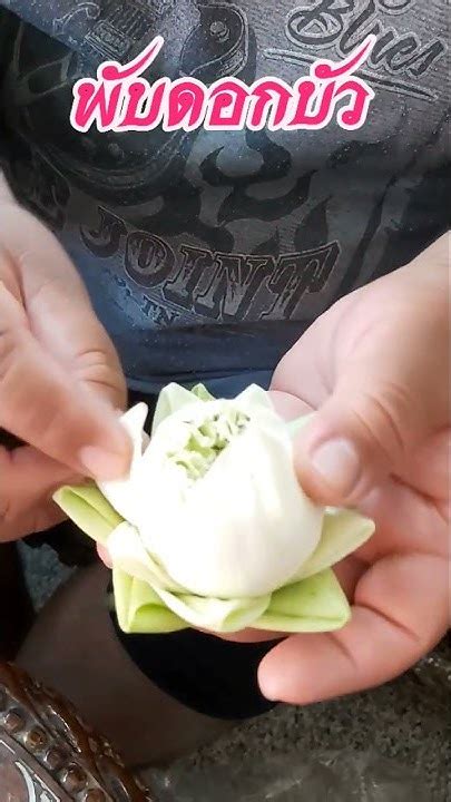 การพับดอกบัว พับอดกบัว ดอกบัว ดอกบัวพับอย่างไร Youtube