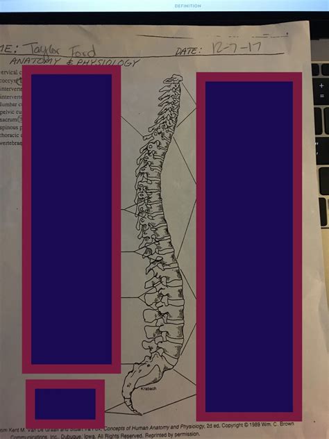 Vertebrae Diagram Diagram Quizlet