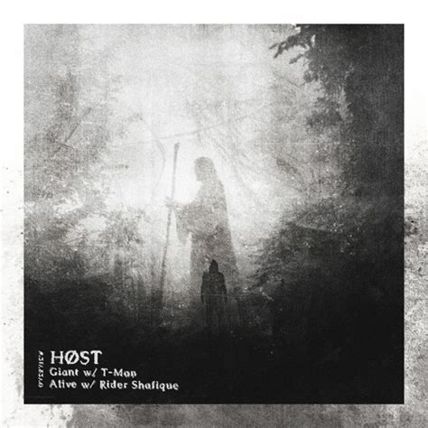 Stream HØst And T Man Giant By Skankandbass Listen Online For Free On