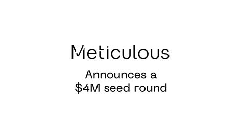 Meticulous Announces 4 Million Seed Round To Help Developers Make The