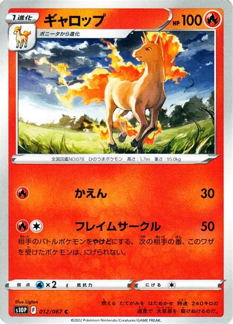 ギャロップ ポケモンカードゲーム通販のカードミュージアム